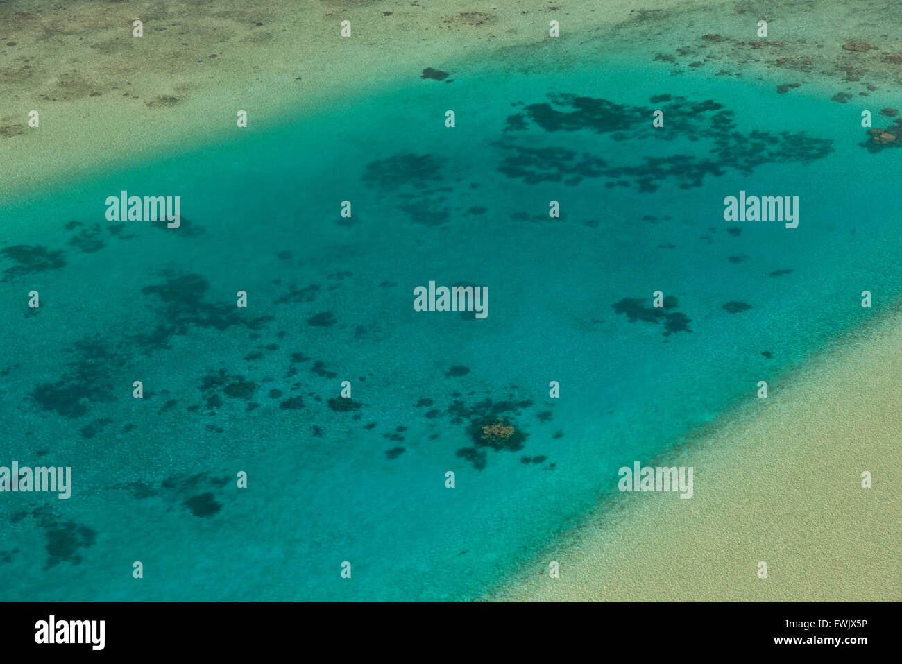 Coral Reefs, Maldives Stock Photo - Alamy
