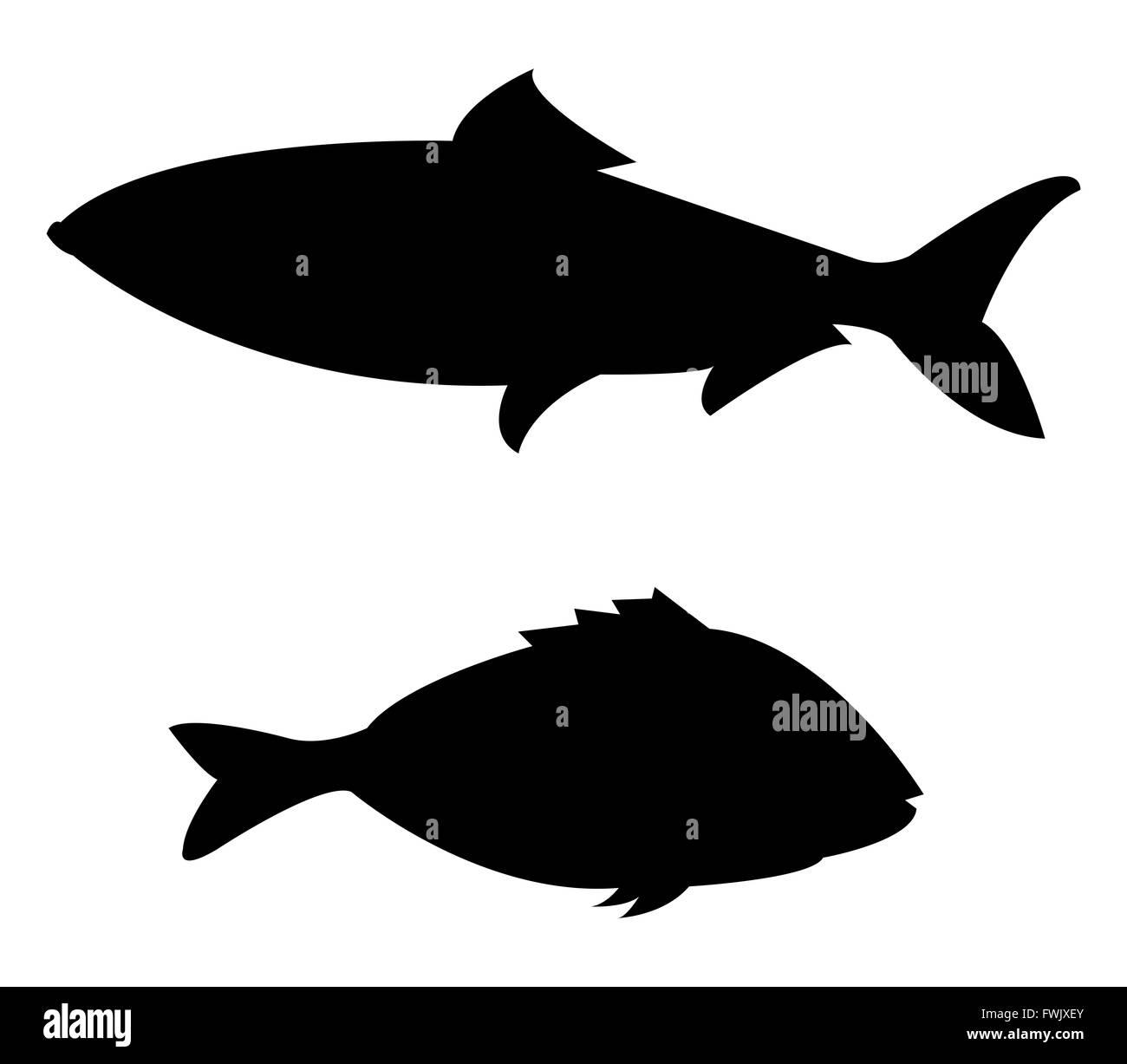 fish on white background Stock Photo - Alamy