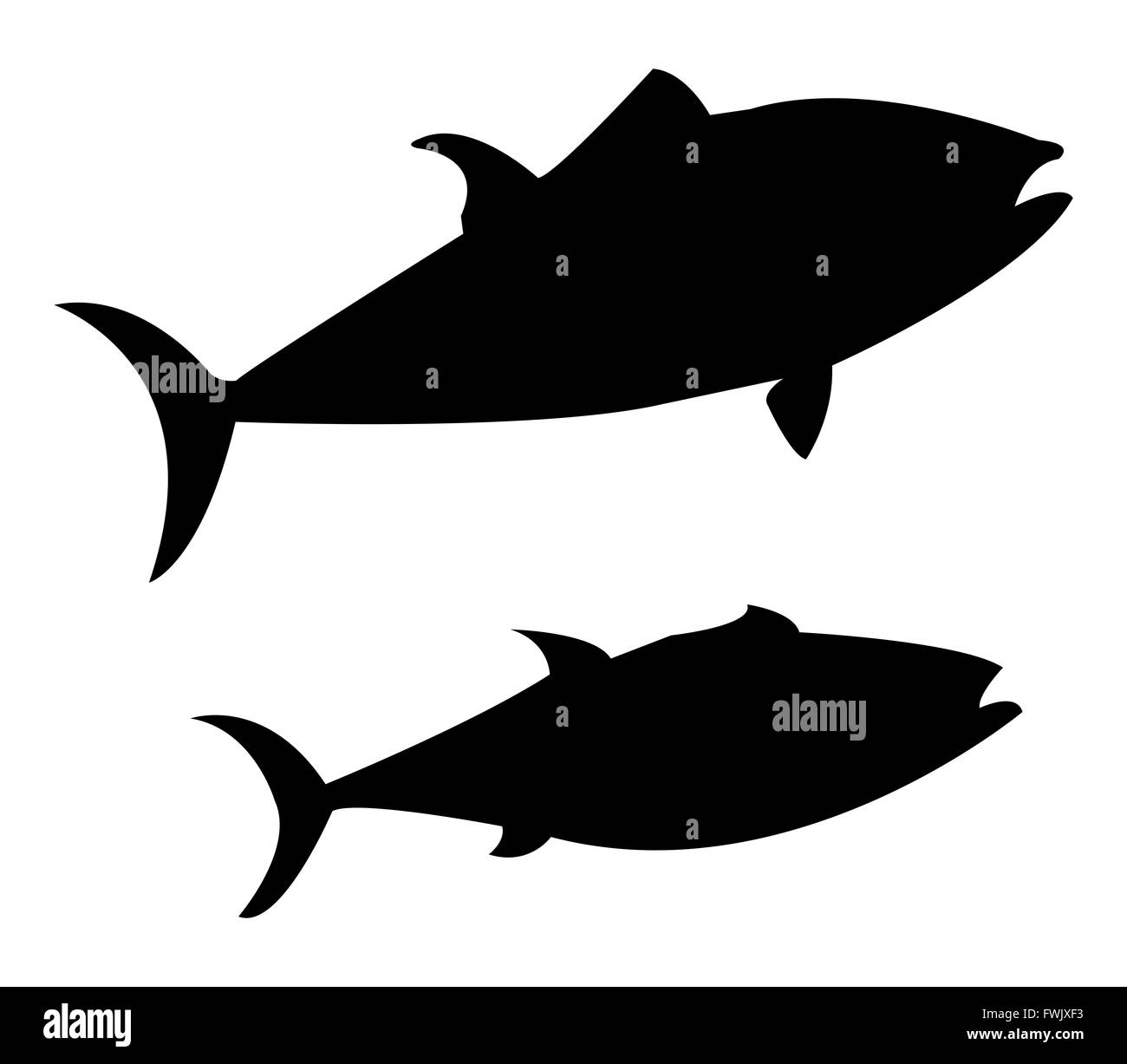 fish on white background Stock Photo - Alamy