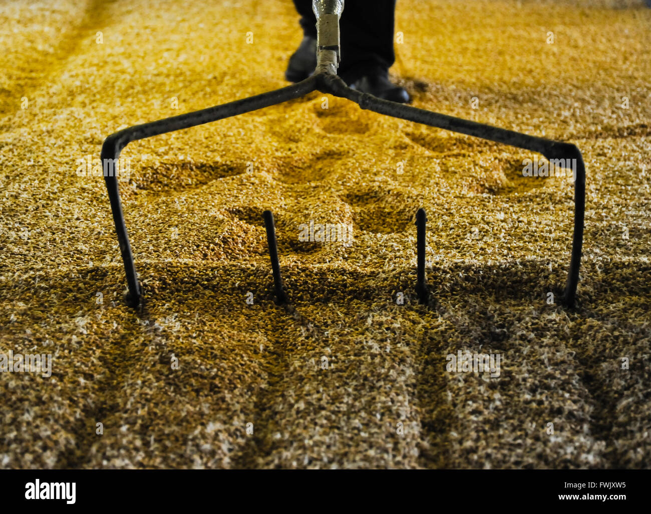 The rake beer hi-res stock photography and images - Alamy