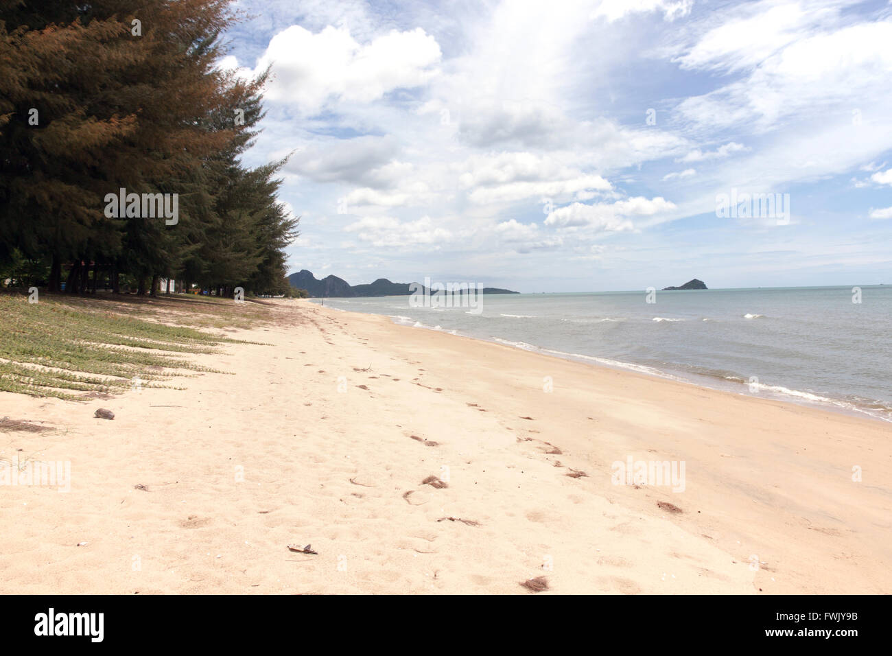 Pine Ridge in beach and sea under blue sky Stock Photo - Alamy