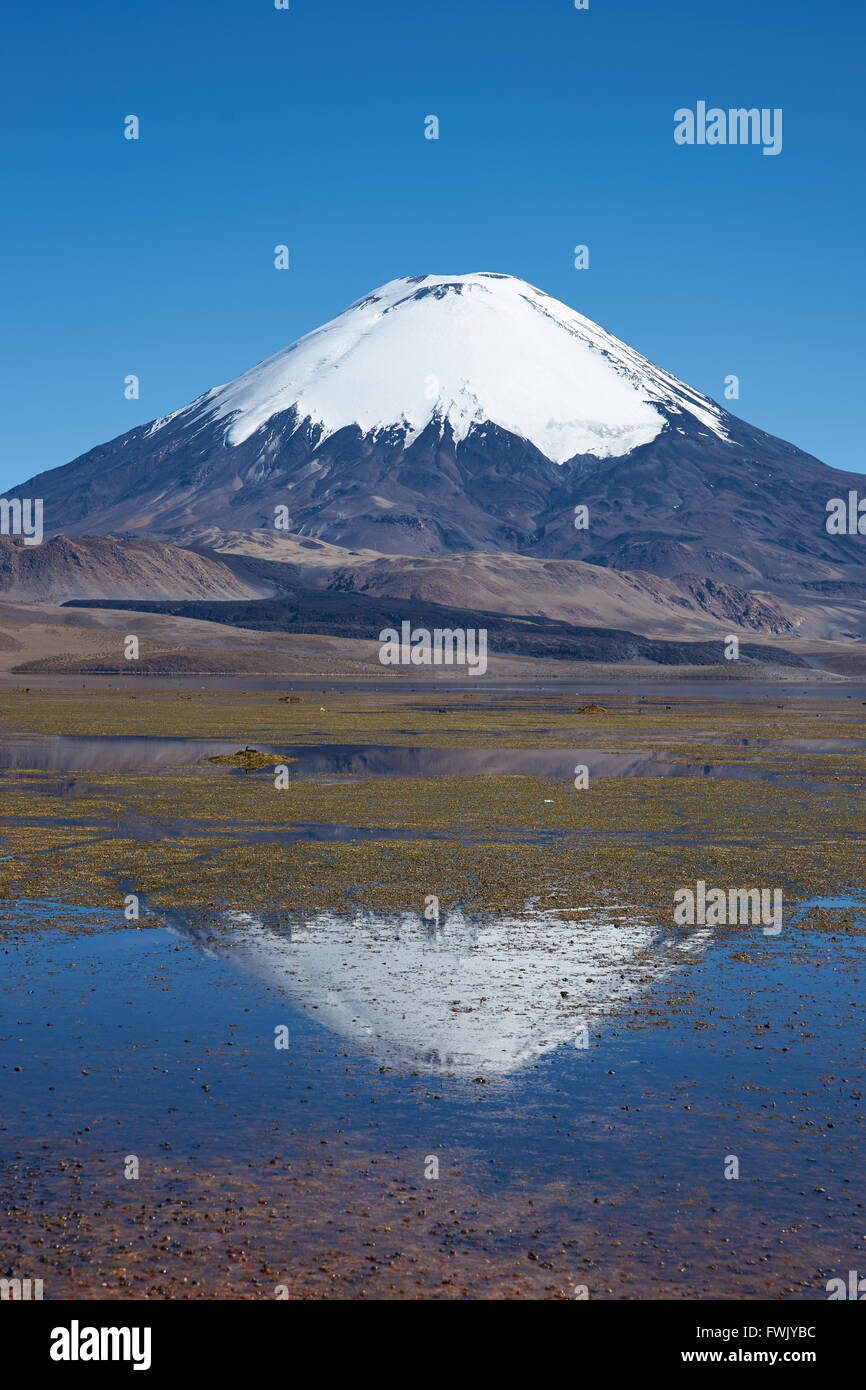 Volcán parinacota hi-res stock photography and images - Alamy