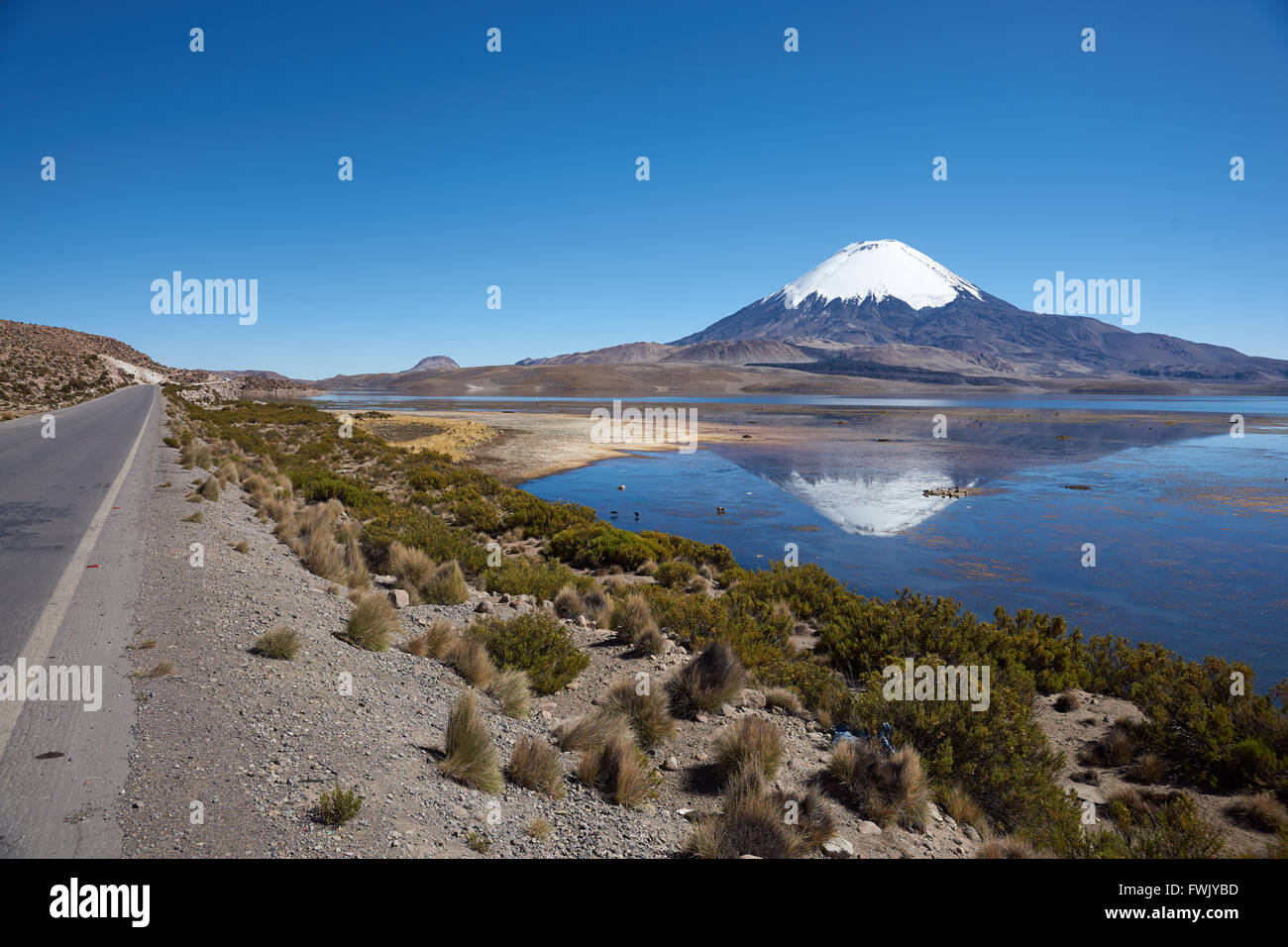 Parinacota volcano hi-res stock photography and images - Alamy