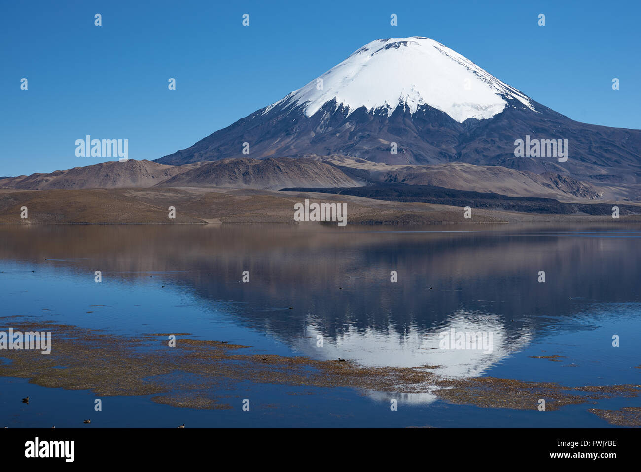 Parinacota volcano hi-res stock photography and images - Alamy