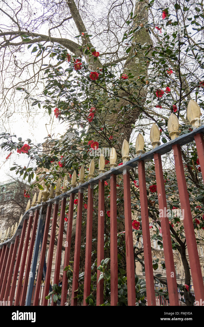 Painted railings hi-res stock photography and images - Alamy