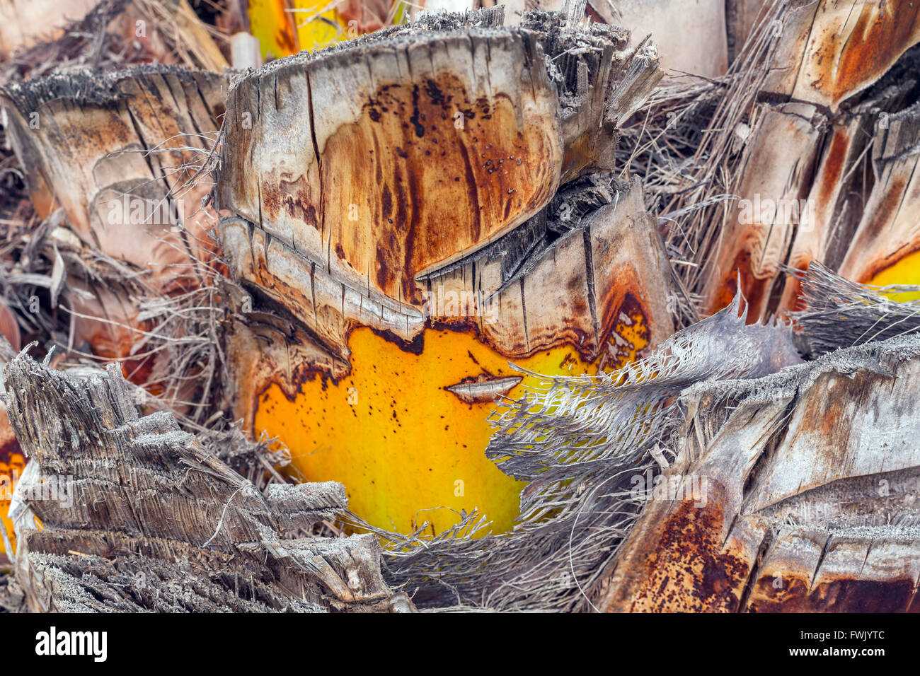 Rainforest soil hi-res stock photography and images - Alamy