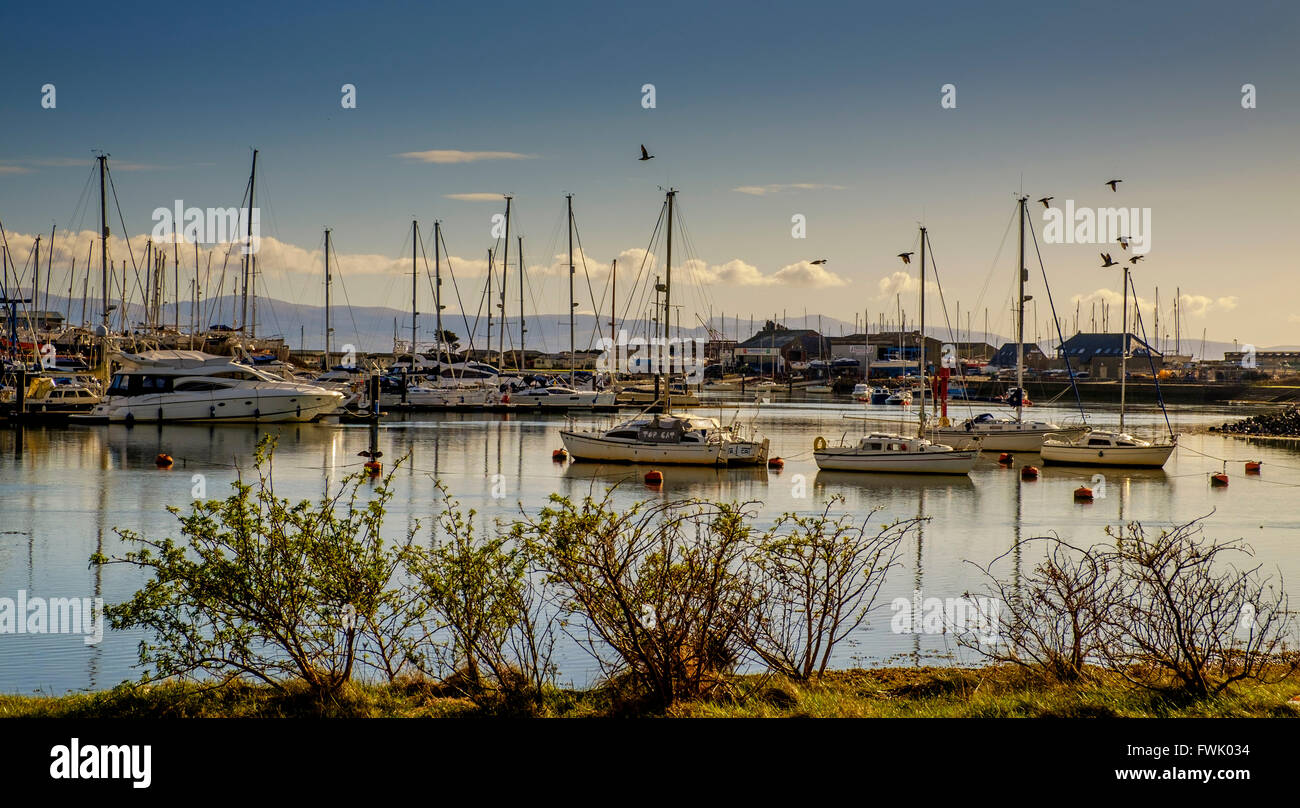 The marina at Pwllheli, North Wales, UK Stock Photo - Alamy