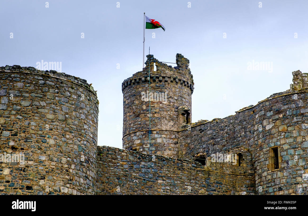 Harlech castle wales hi-res stock photography and images - Alamy