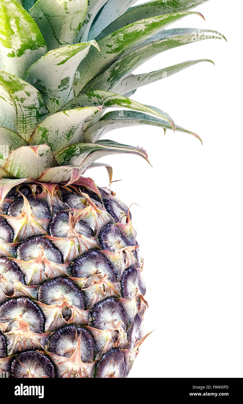 fresh pineapple close-up on white background Stock Photo - Alamy