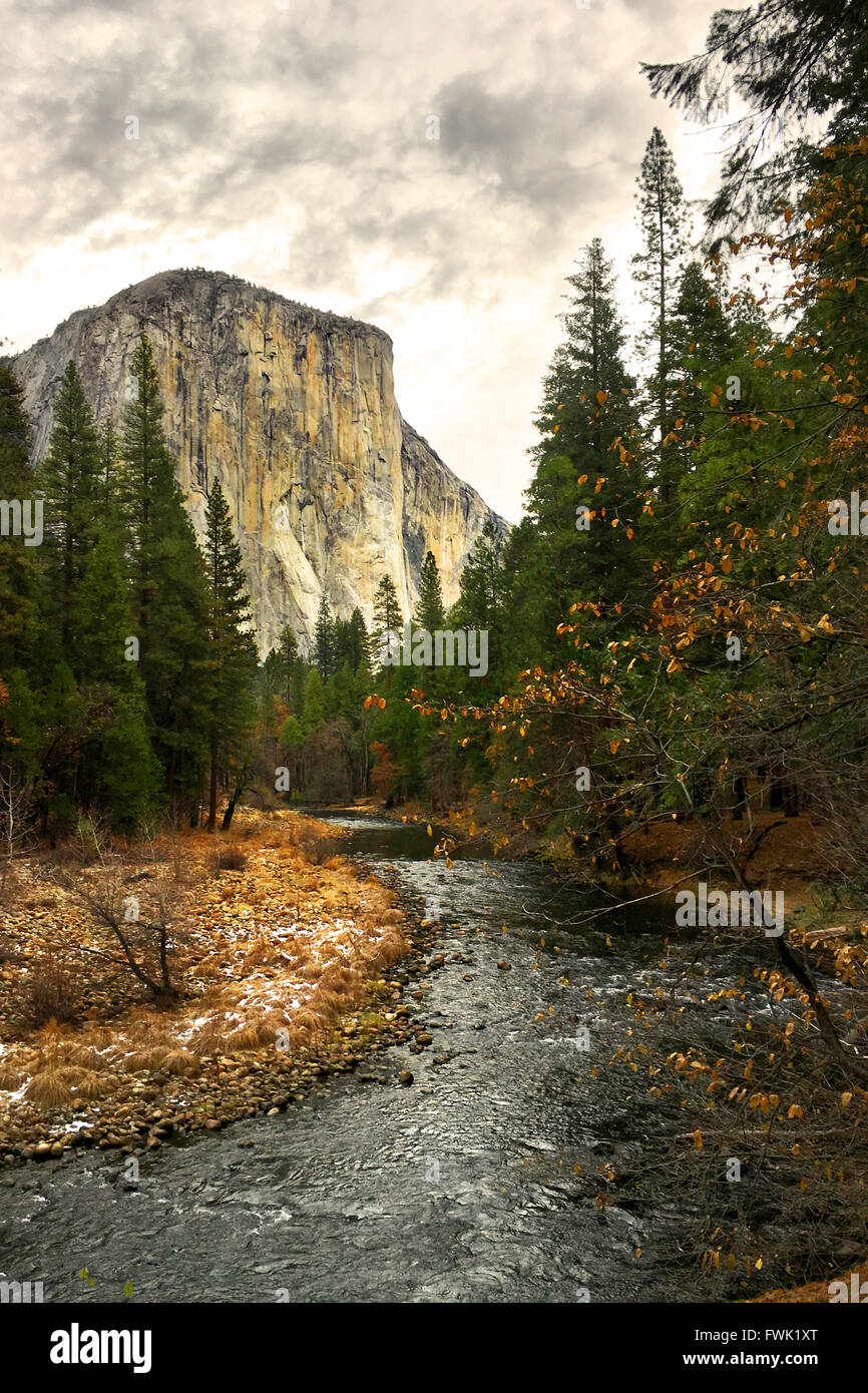 Narrow Stream Along Trees On Landscape Stock Photo - Alamy