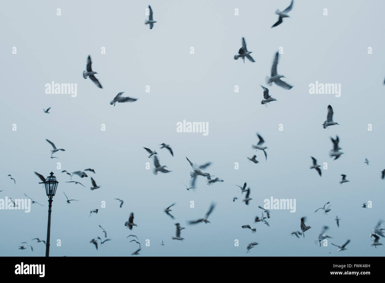 Flying in the sky hi-res stock photography and images - Alamy
