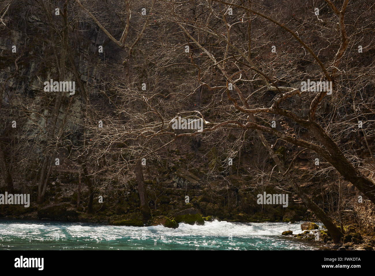Big Spring, Ozark National Scenic Riverways, during stick season, Ozark ...