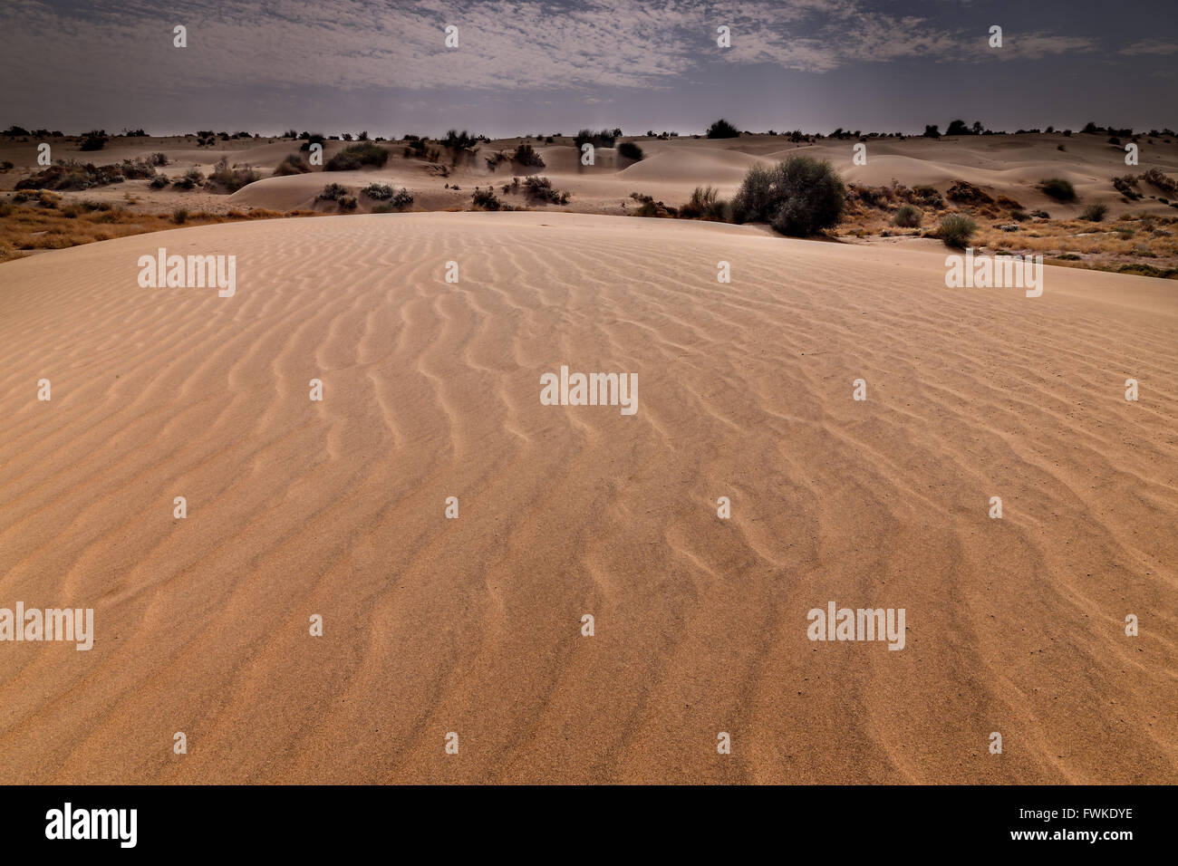 Marks of wind Stock Photo - Alamy