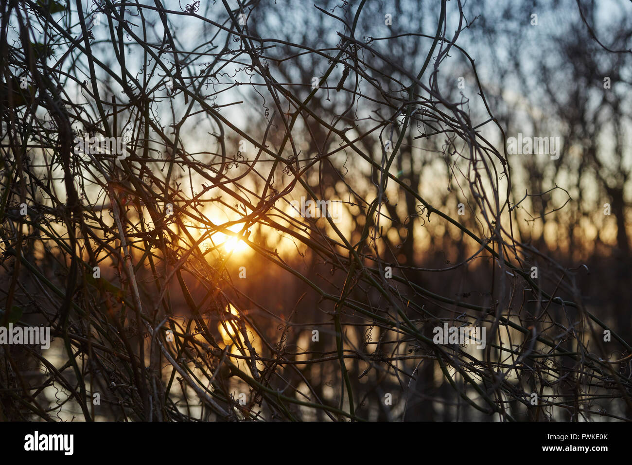 Mississippi river delta hi-res stock photography and images - Alamy