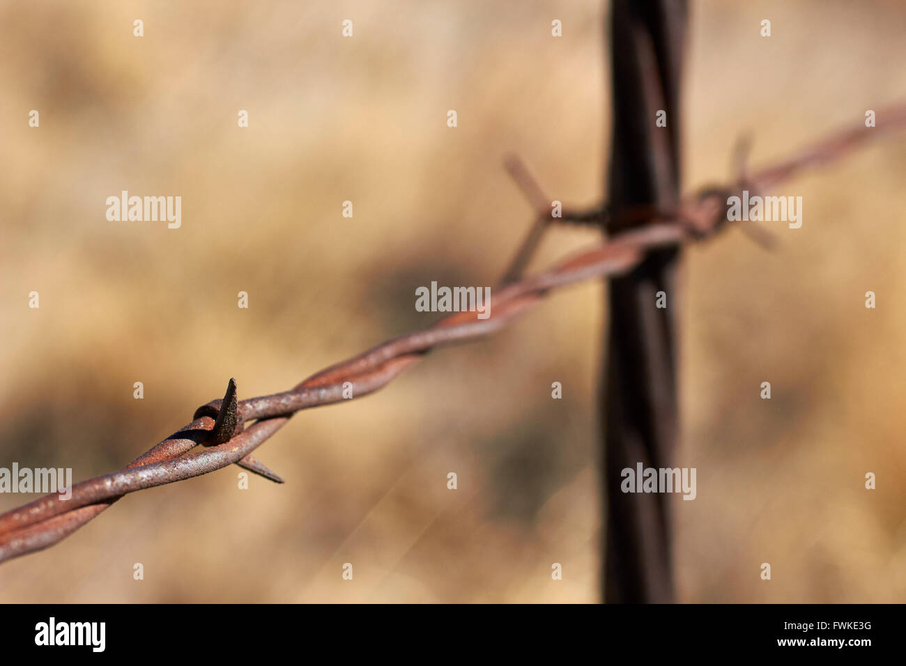 Ranch fence grassland hi-res stock photography and images - Alamy