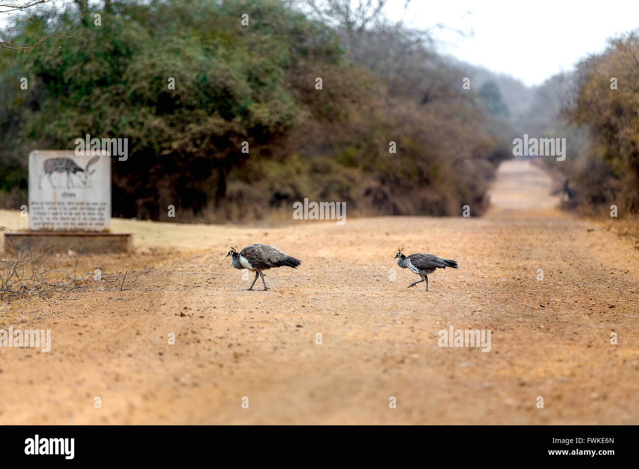 Home is true freedom Stock Photo - Alamy