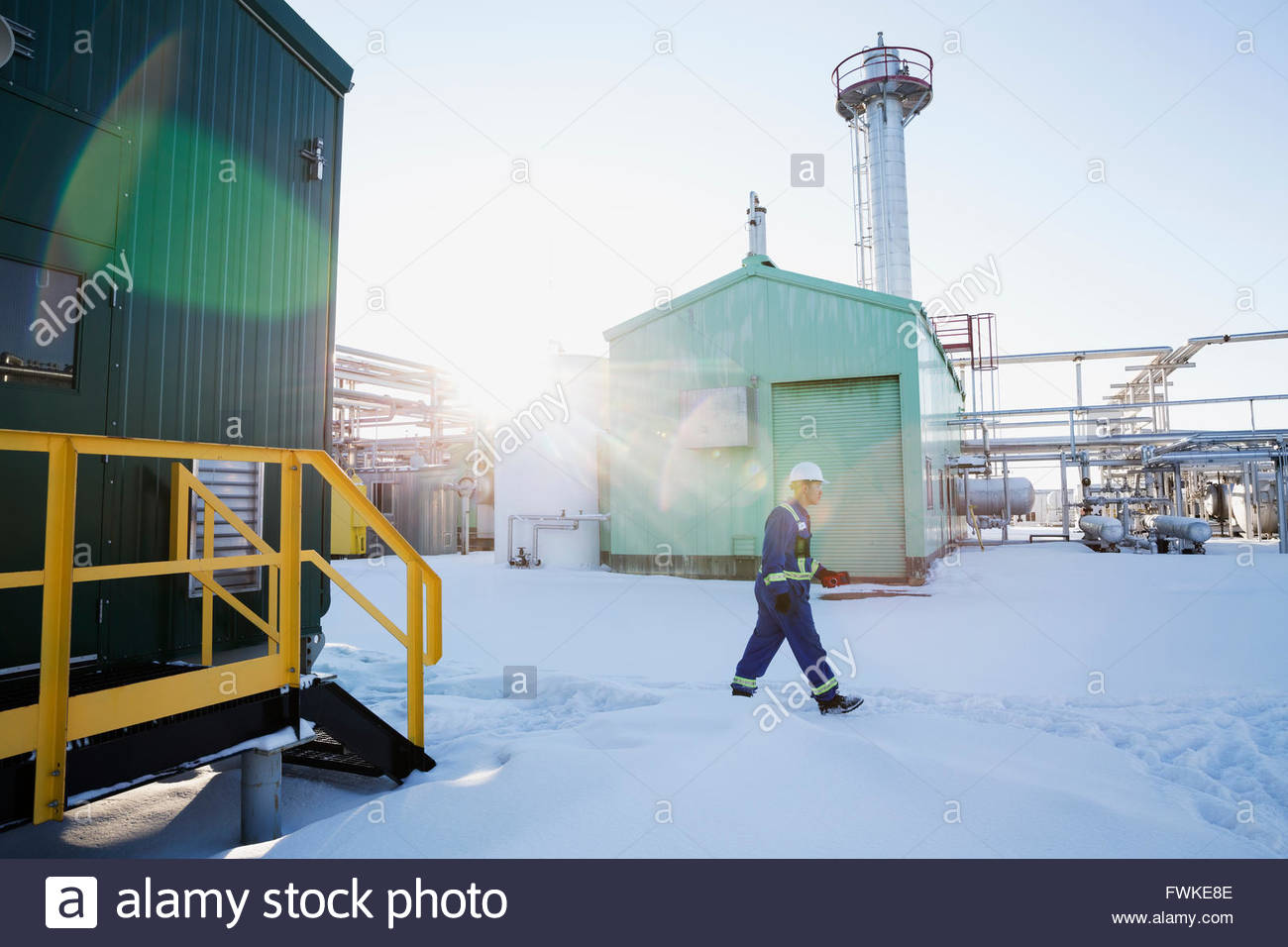 Plant 24 hi-res stock photography and images - Alamy