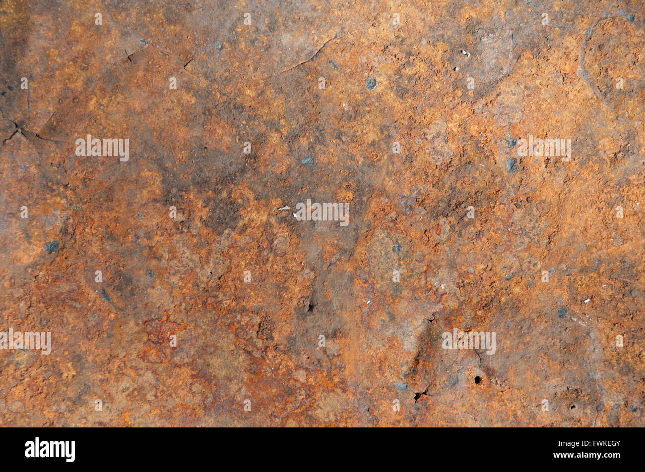 Close up of a rusted metal sheet with orange and brown colours Stock ...