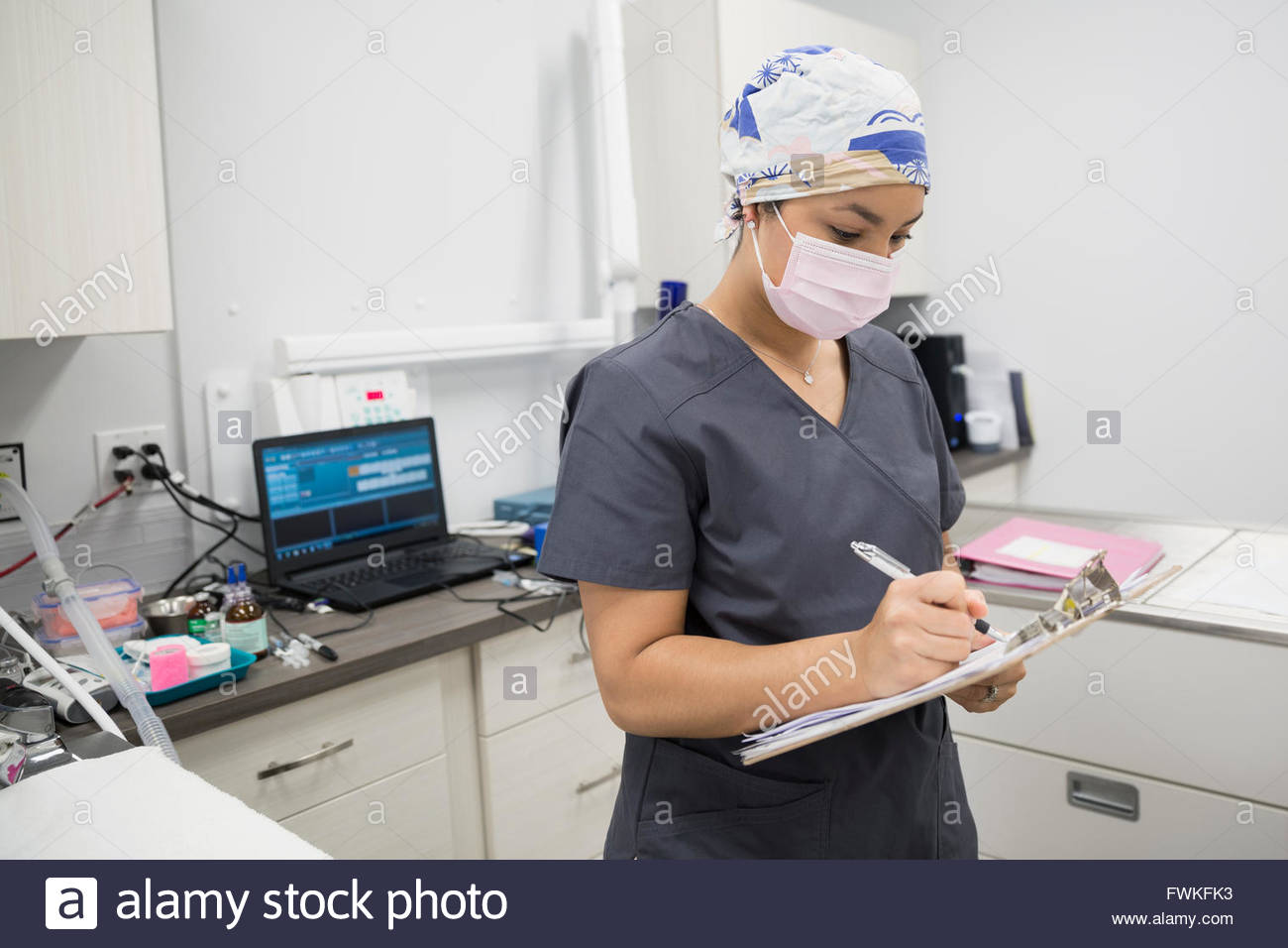 Veterinarian writing on clipboard in clinic examination room Stock ...