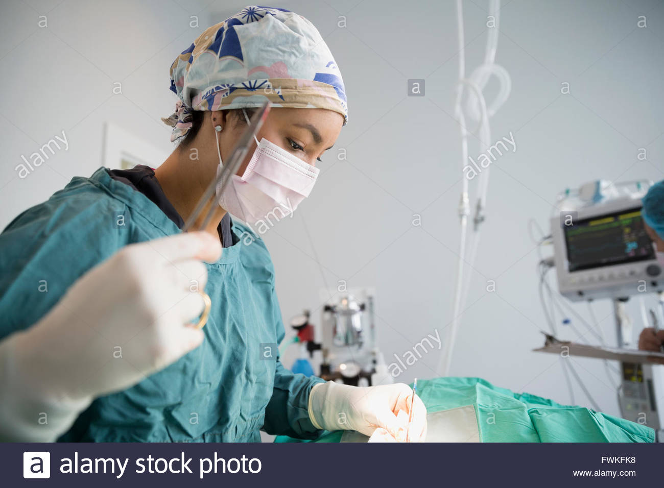 Animal surgery room hi-res stock photography and images - Alamy