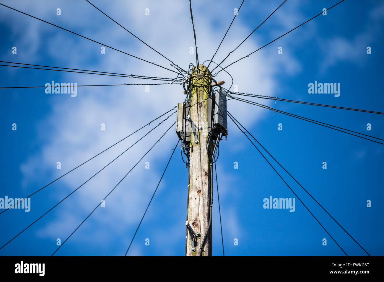 A British Telegraph Pole near London Stock Photo - Alamy