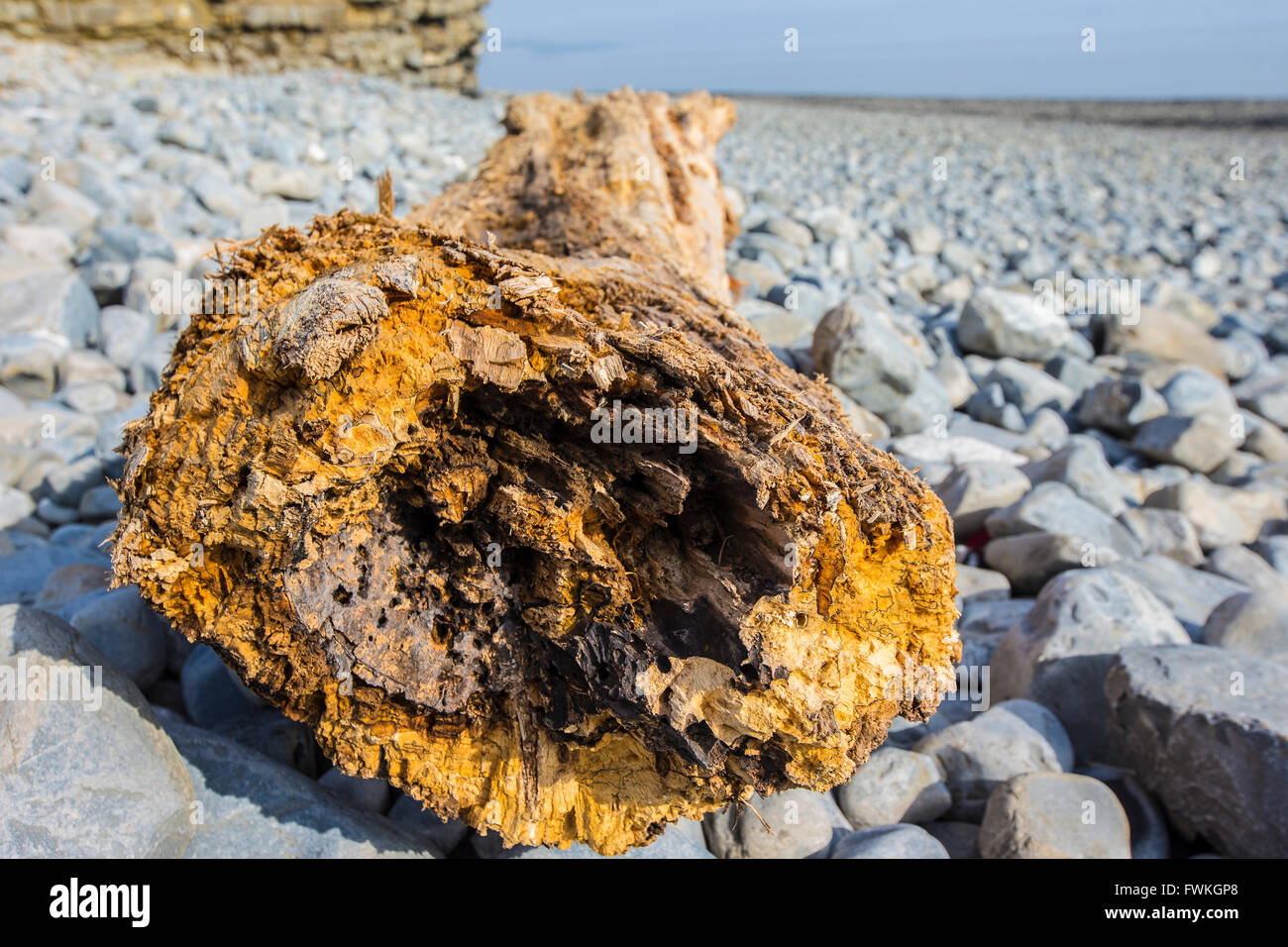 Rhoose Point Rocky Beach South Wales Blue Sky Driftwood Stock Photo - Alamy