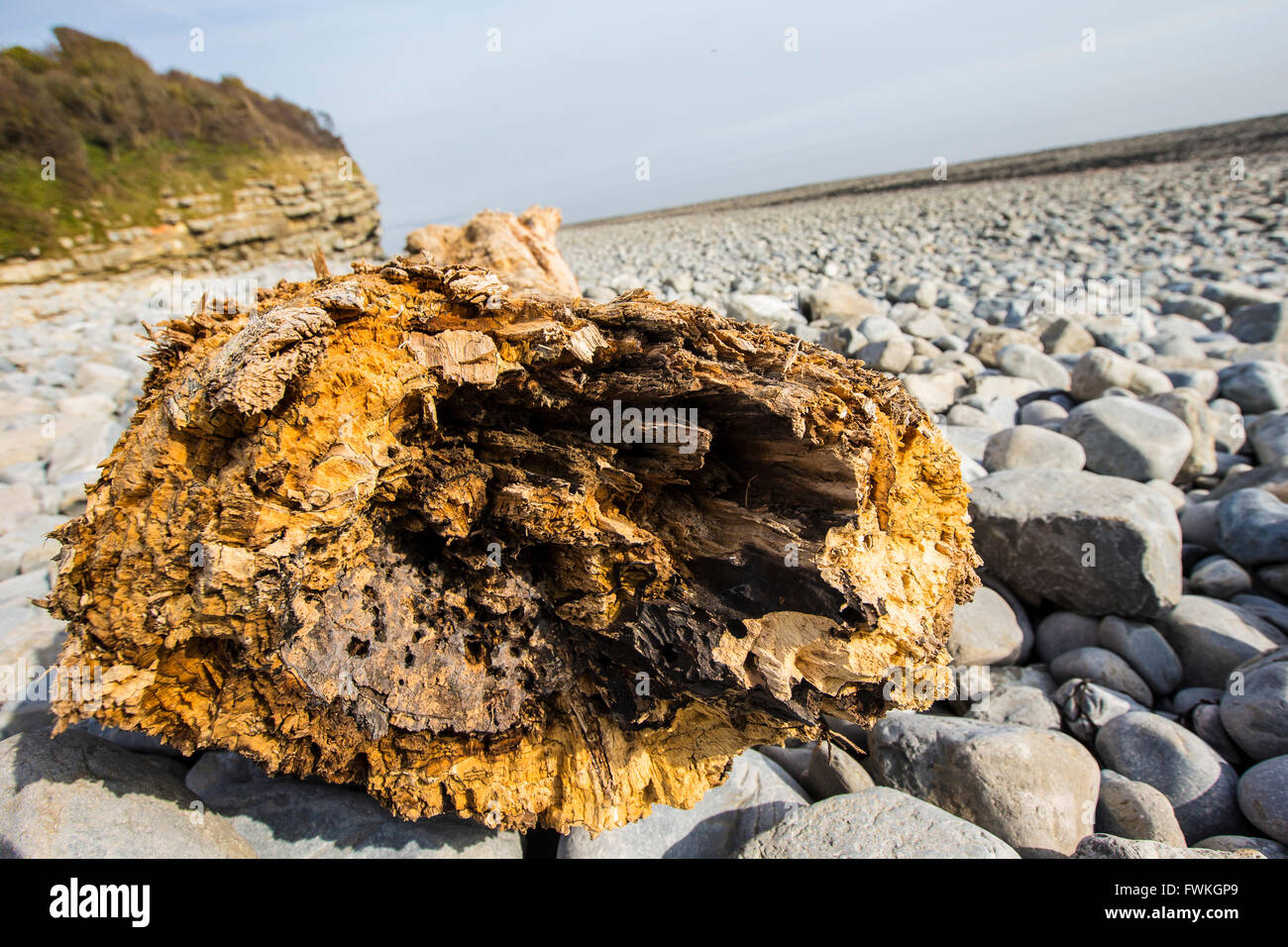Rhoose Point Rocky Beach South Wales Blue Sky Driftwood Stock Photo - Alamy