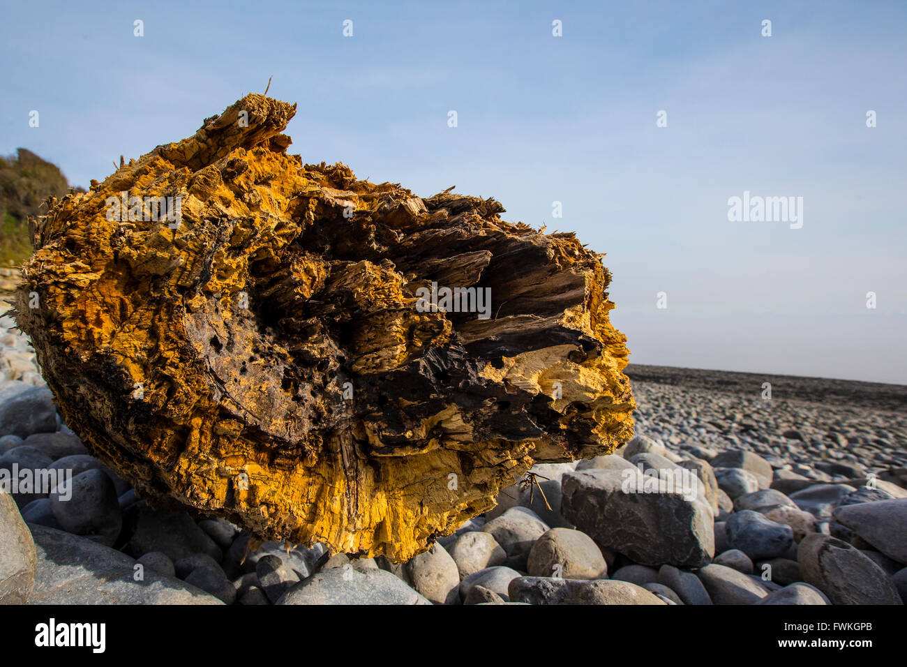Rhoose Point Rocky Beach South Wales Blue Sky Driftwood Stock Photo - Alamy