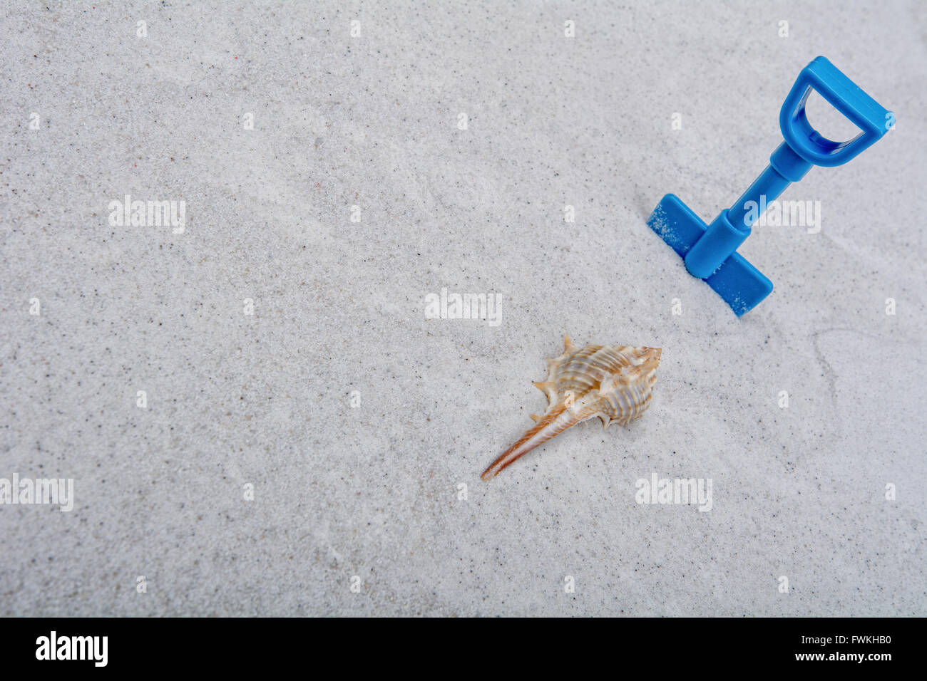 Marine shell and blue scoop on a grey sand background Stock Photo - Alamy