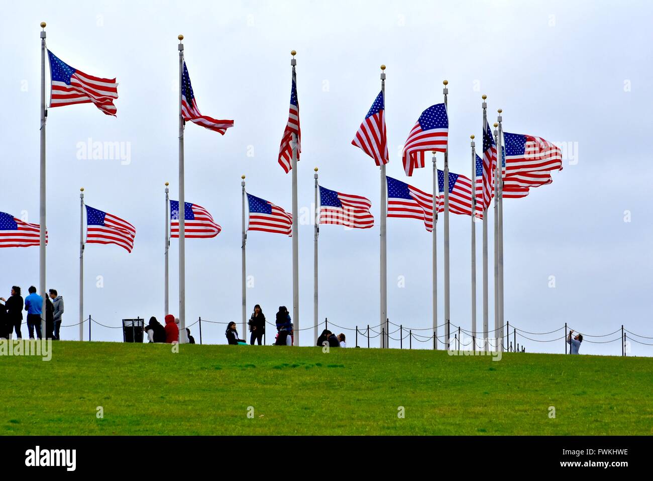 USA flags around the Washington monument in DC Stock Photo - Alamy