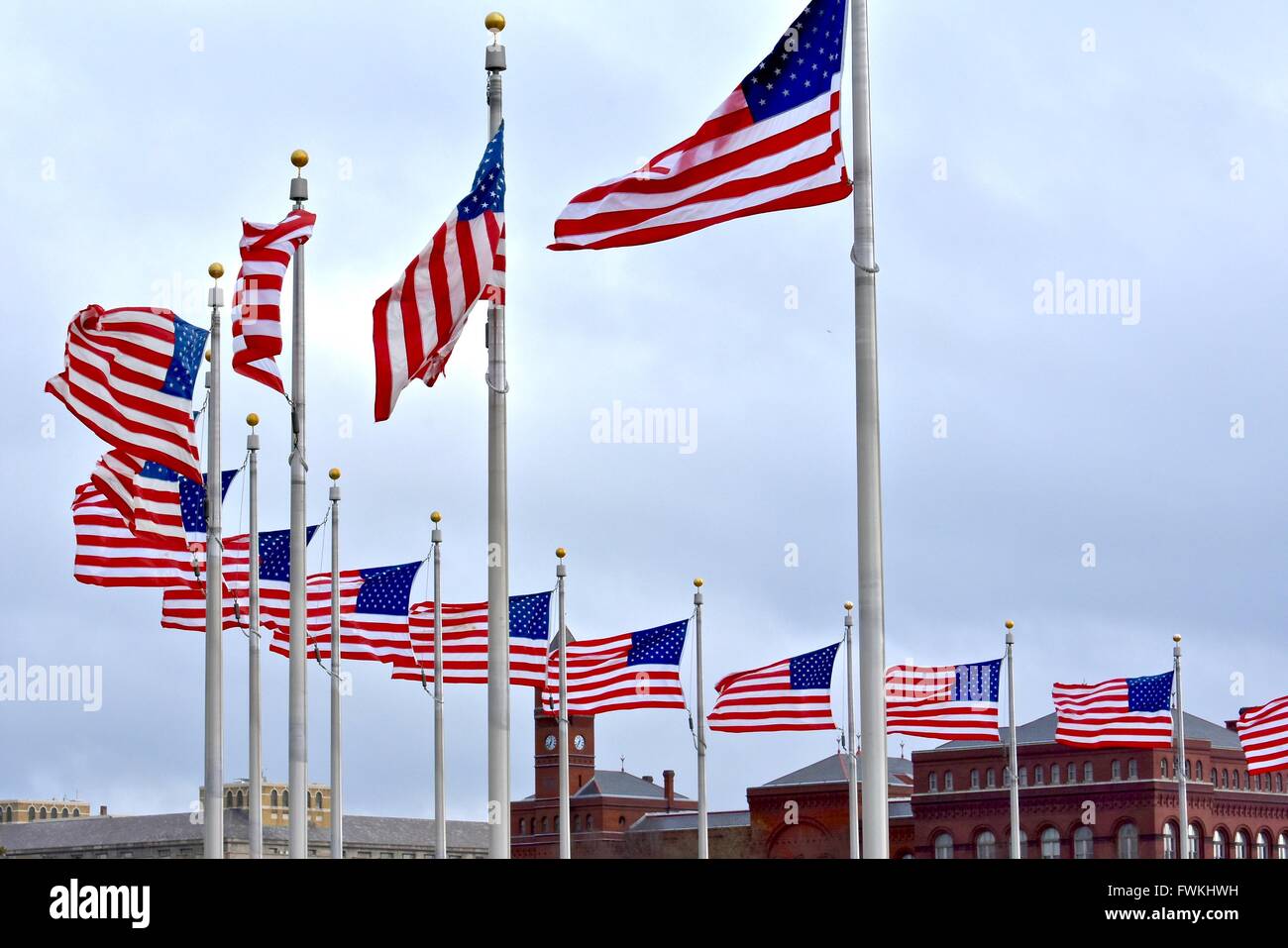 USA flags around the Washington monument in DC Stock Photo - Alamy