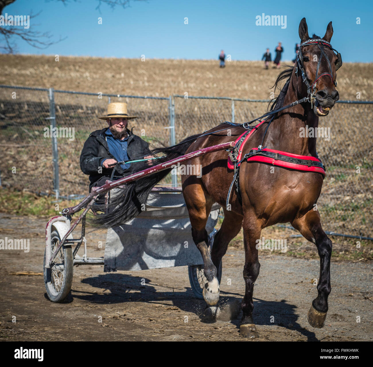 Rawlinsville, PA Amish Mud Sale, held every spring in Lancaster, PA ...