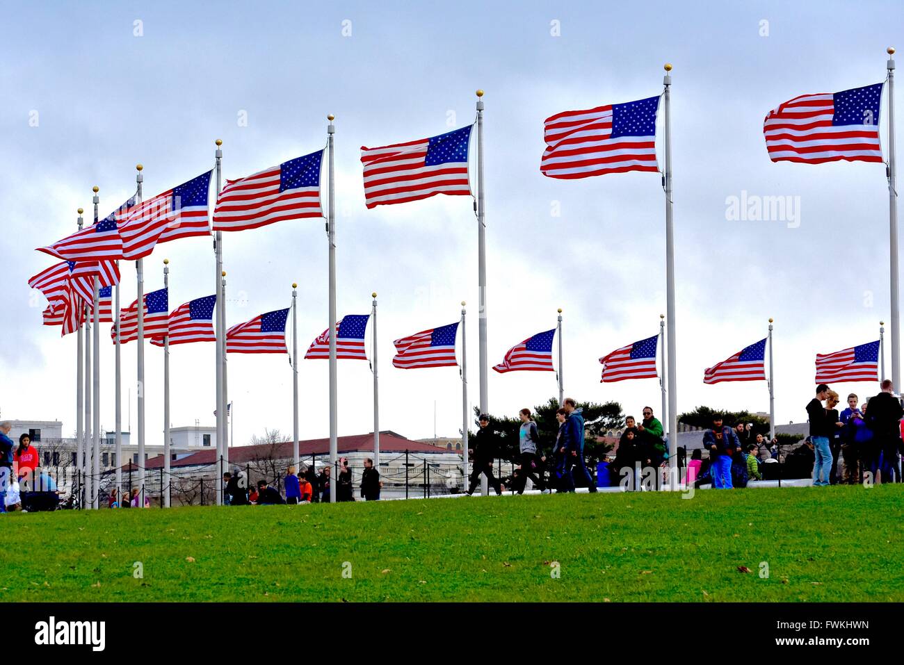 USA flags around the Washington monument in DC Stock Photo - Alamy