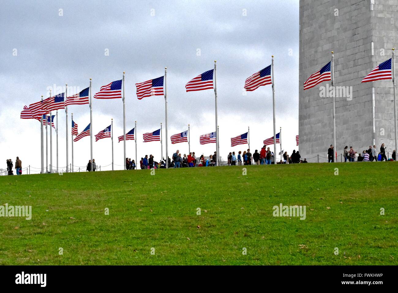 USA flags around the Washington monument in DC Stock Photo - Alamy