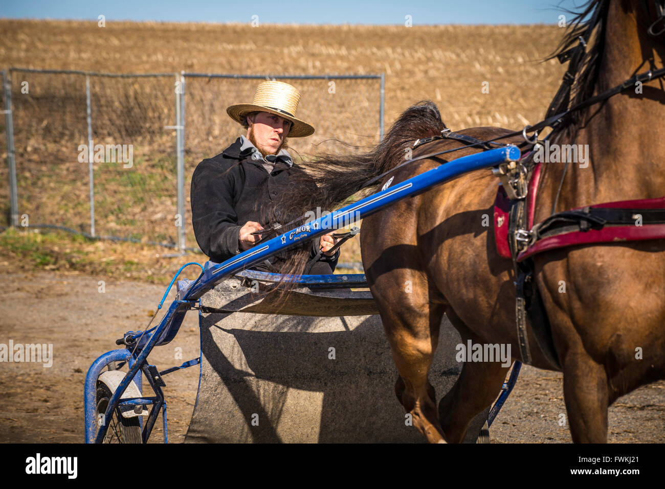 Rawlinsville, PA Amish Mud Sale, held every spring in Lancaster, PA ...