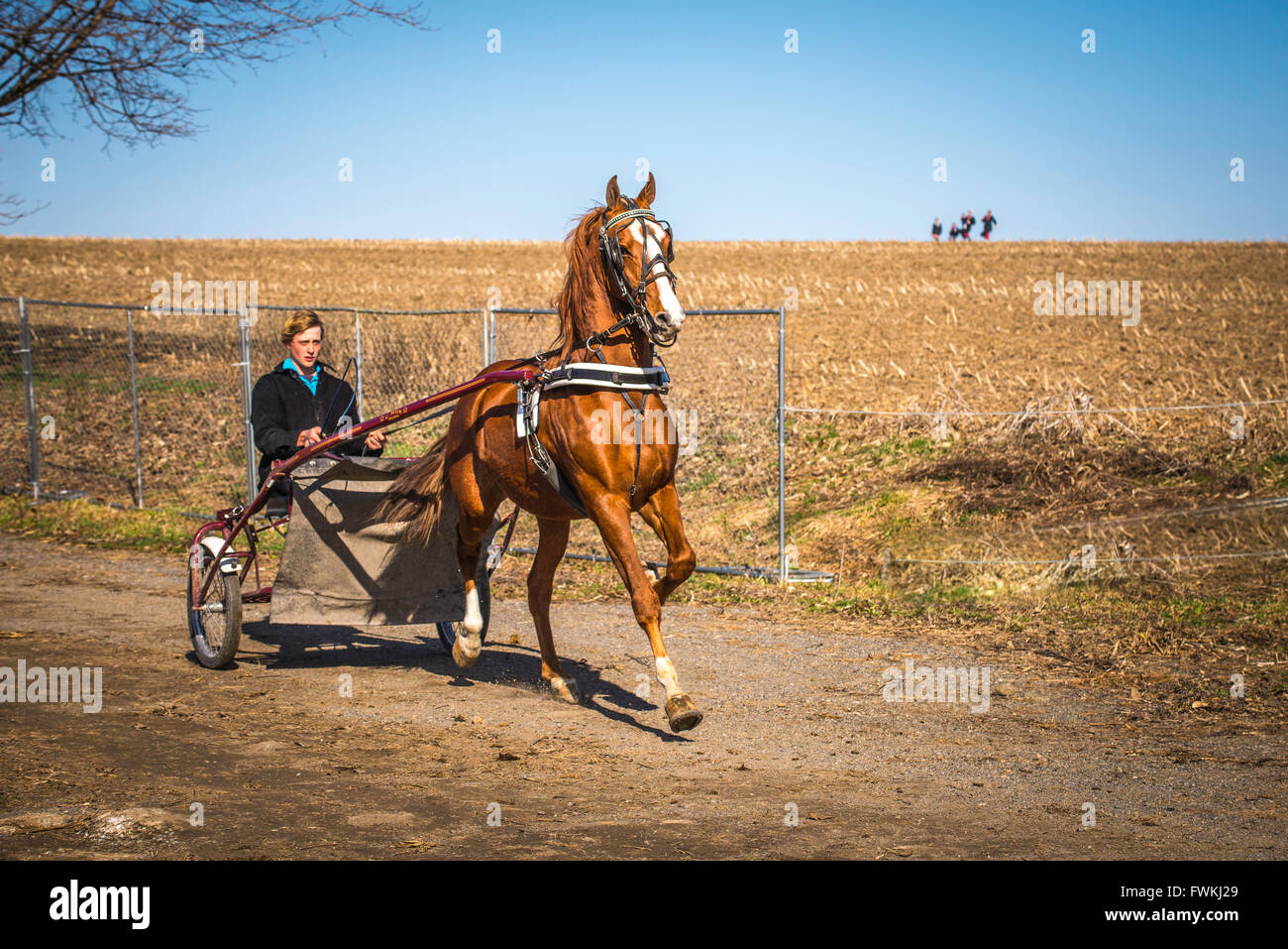 Rawlinsville, PA Amish Mud Sale, held every spring in Lancaster, PA ...