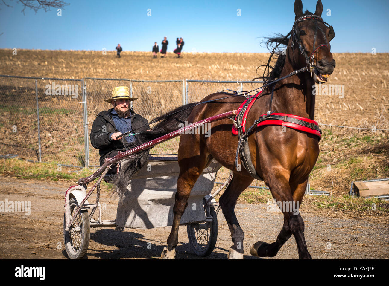 Rawlinsville, PA Amish Mud Sale, held every spring in Lancaster, PA ...