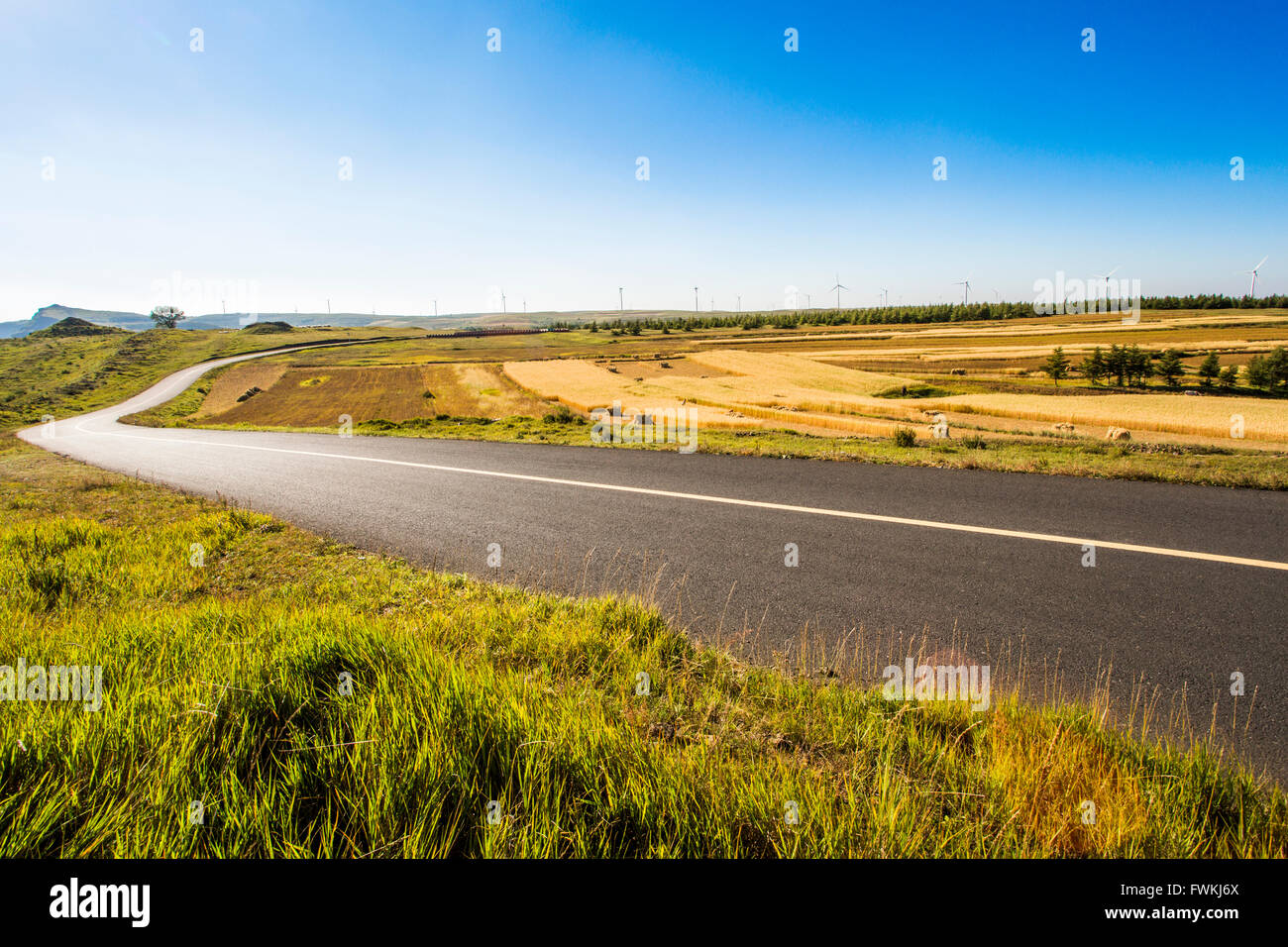 Grassland scenery in Hebei province, China Stock Photo - Alamy