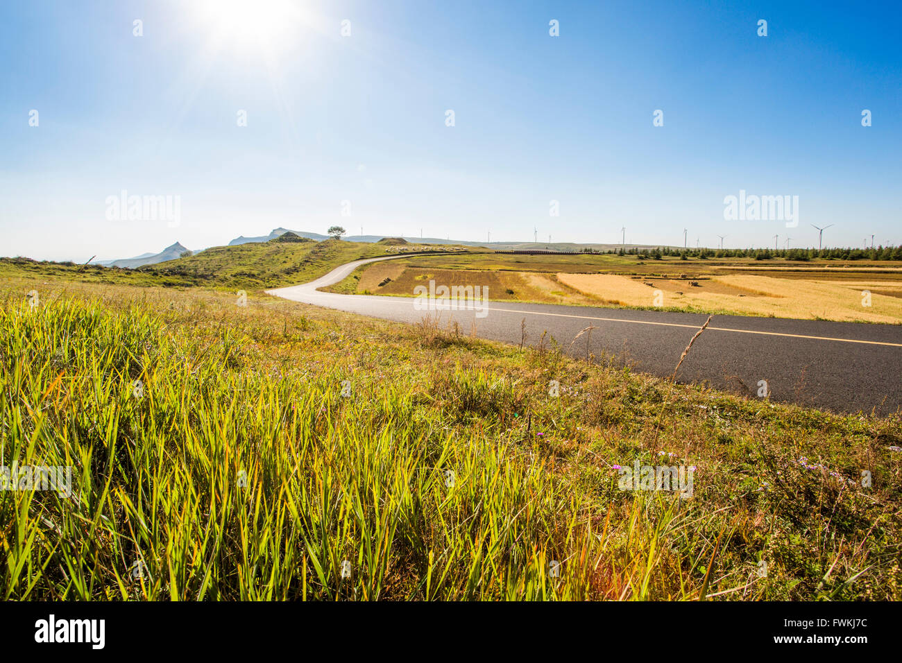 Grassland scenery in Hebei province, China Stock Photo - Alamy