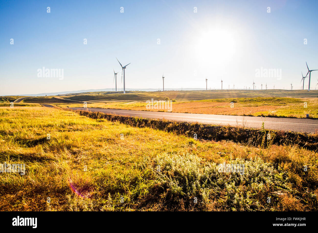 Grassland scenery in Hebei province, China Stock Photo - Alamy