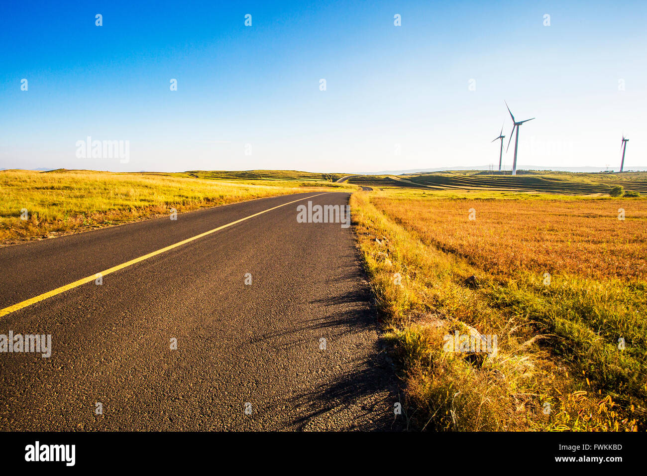 Grassland scenery in Hebei province, China Stock Photo - Alamy