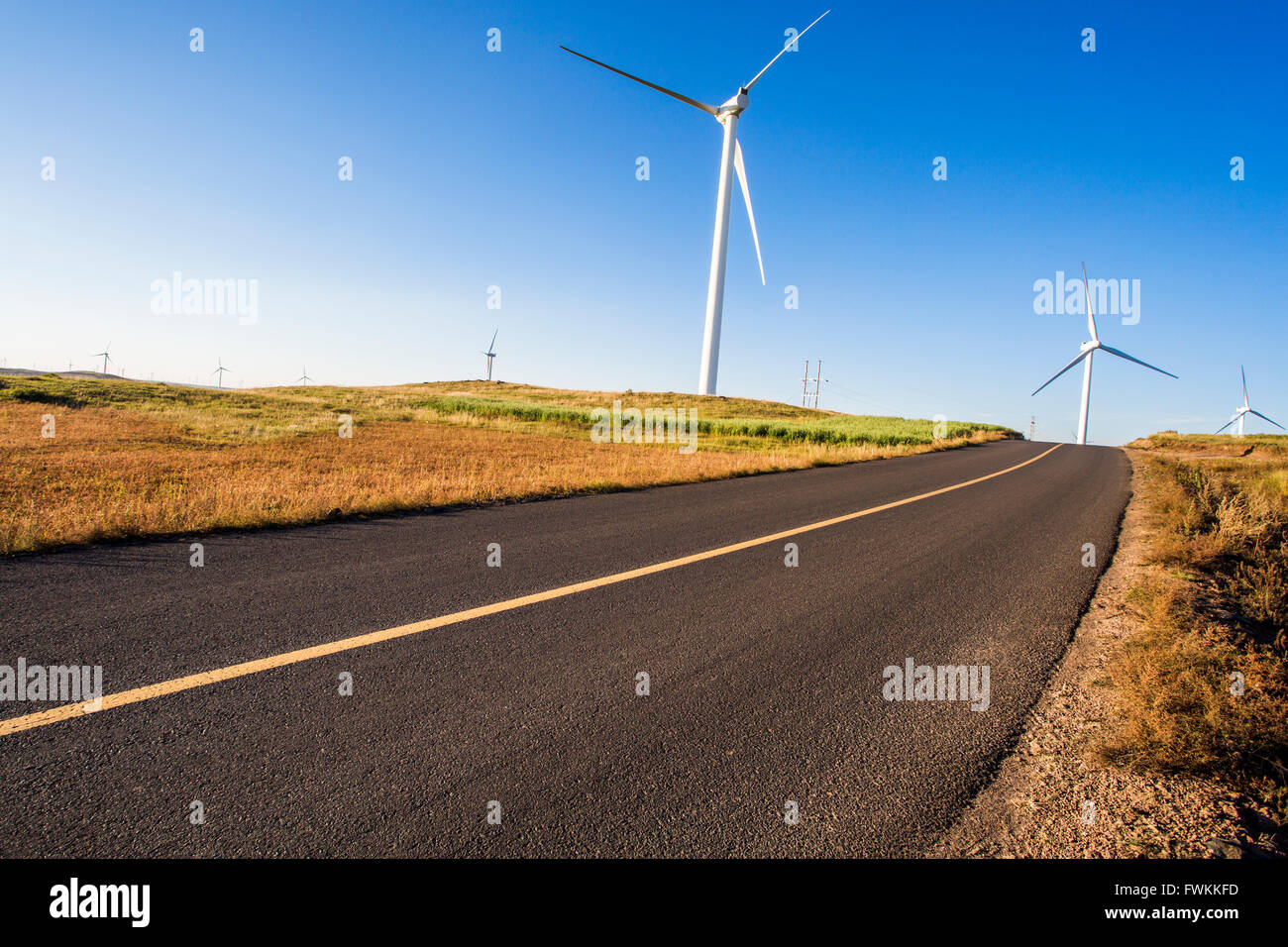 Grassland scenery in Hebei province, China Stock Photo - Alamy