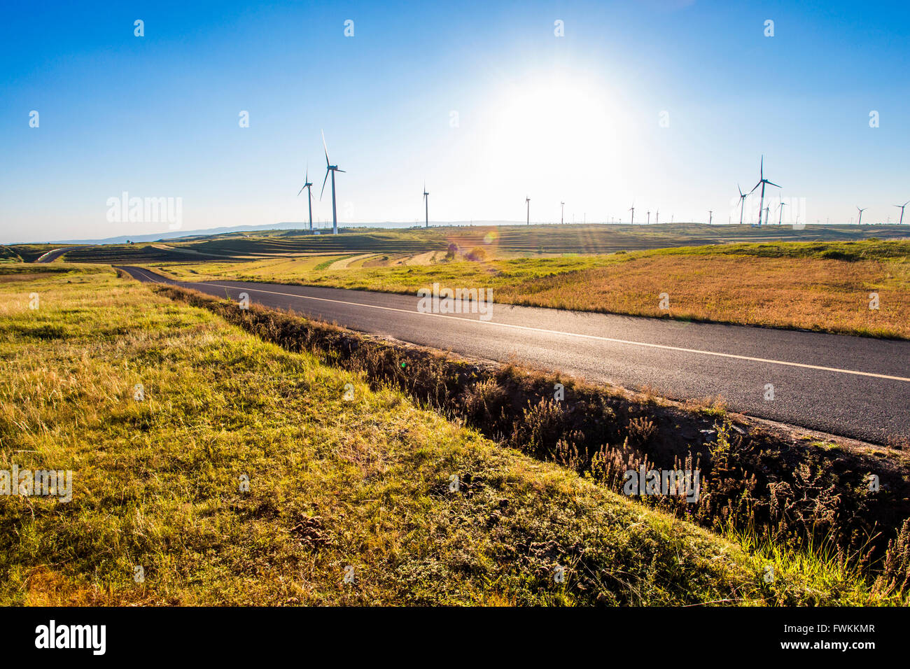 Grassland scenery in Hebei province, China Stock Photo - Alamy