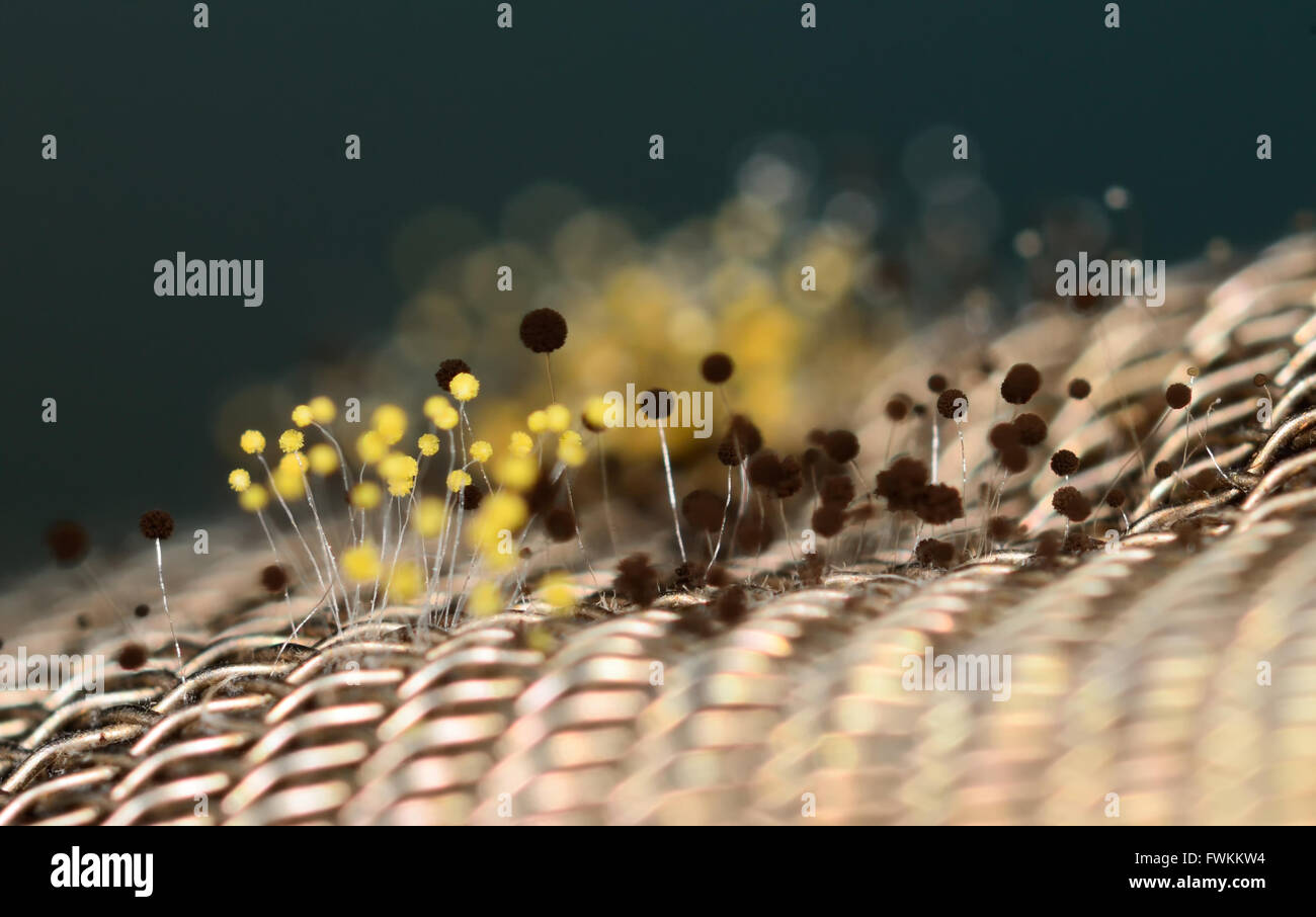 Mold on teapot net Stock Photo - Alamy