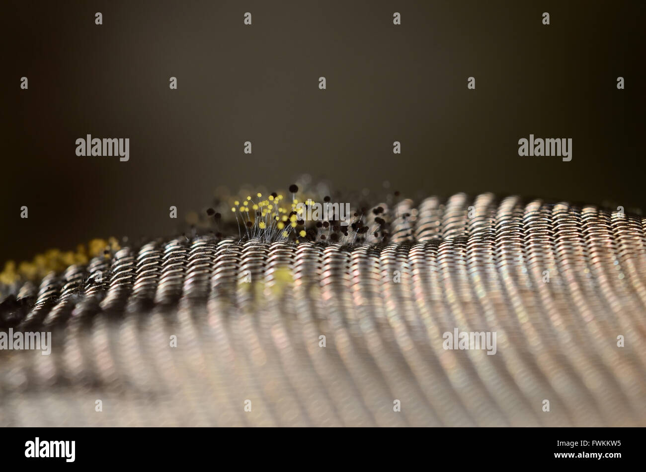 Cleaning teapot hi-res stock photography and images - Alamy