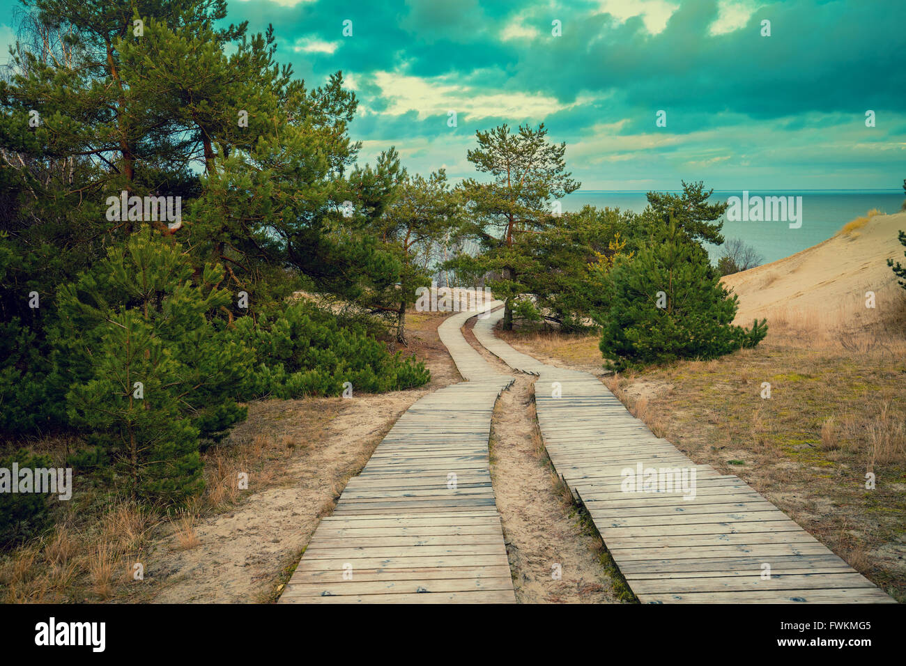 Two wooden pathways in park Stock Photo - Alamy