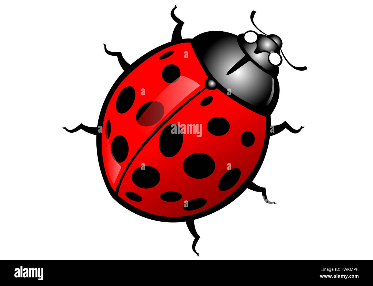 Cartoon Illustrations Lady bird Stock Photo - Alamy
