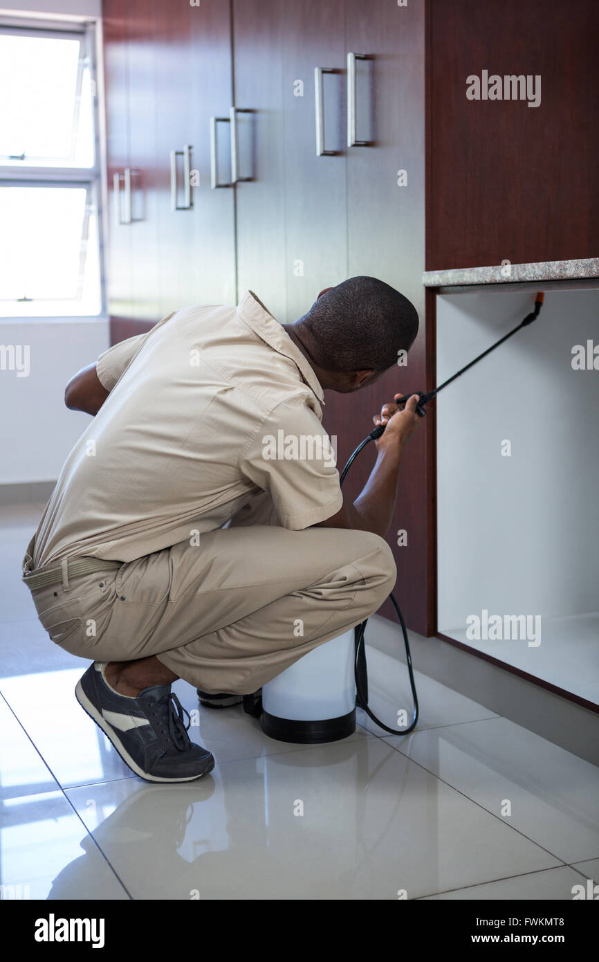 Man spraying insects pest control hi-res stock photography and images ...