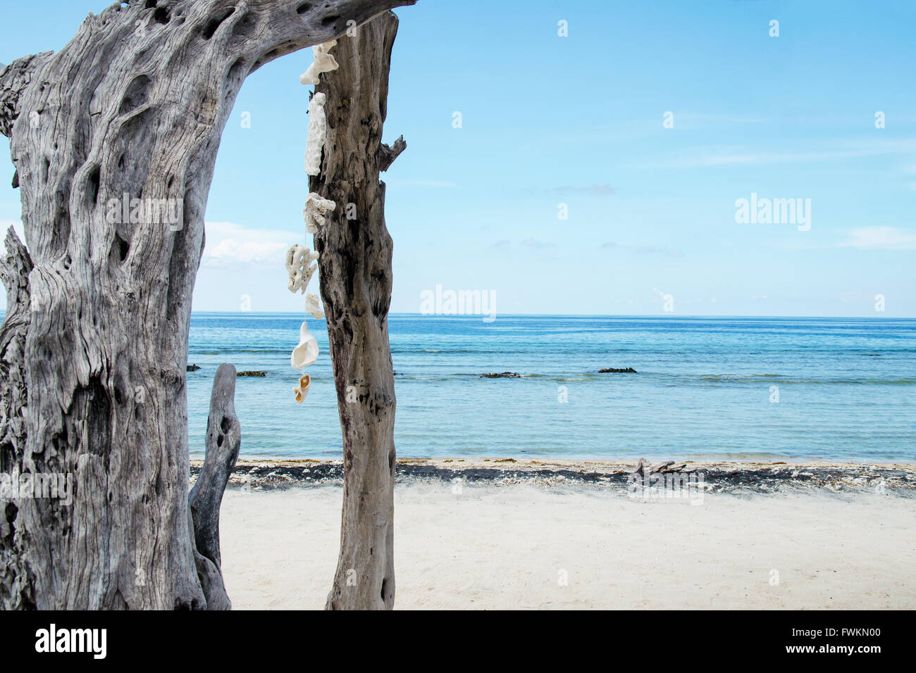 Turquoise ocean and beach Stock Photo - Alamy