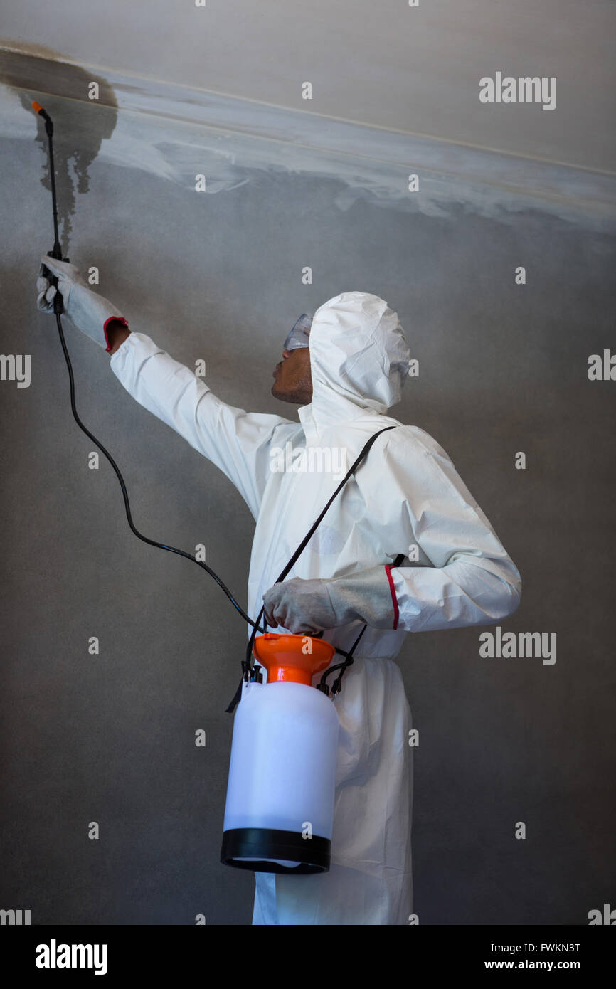 Man doing pest control on a wall Stock Photo - Alamy